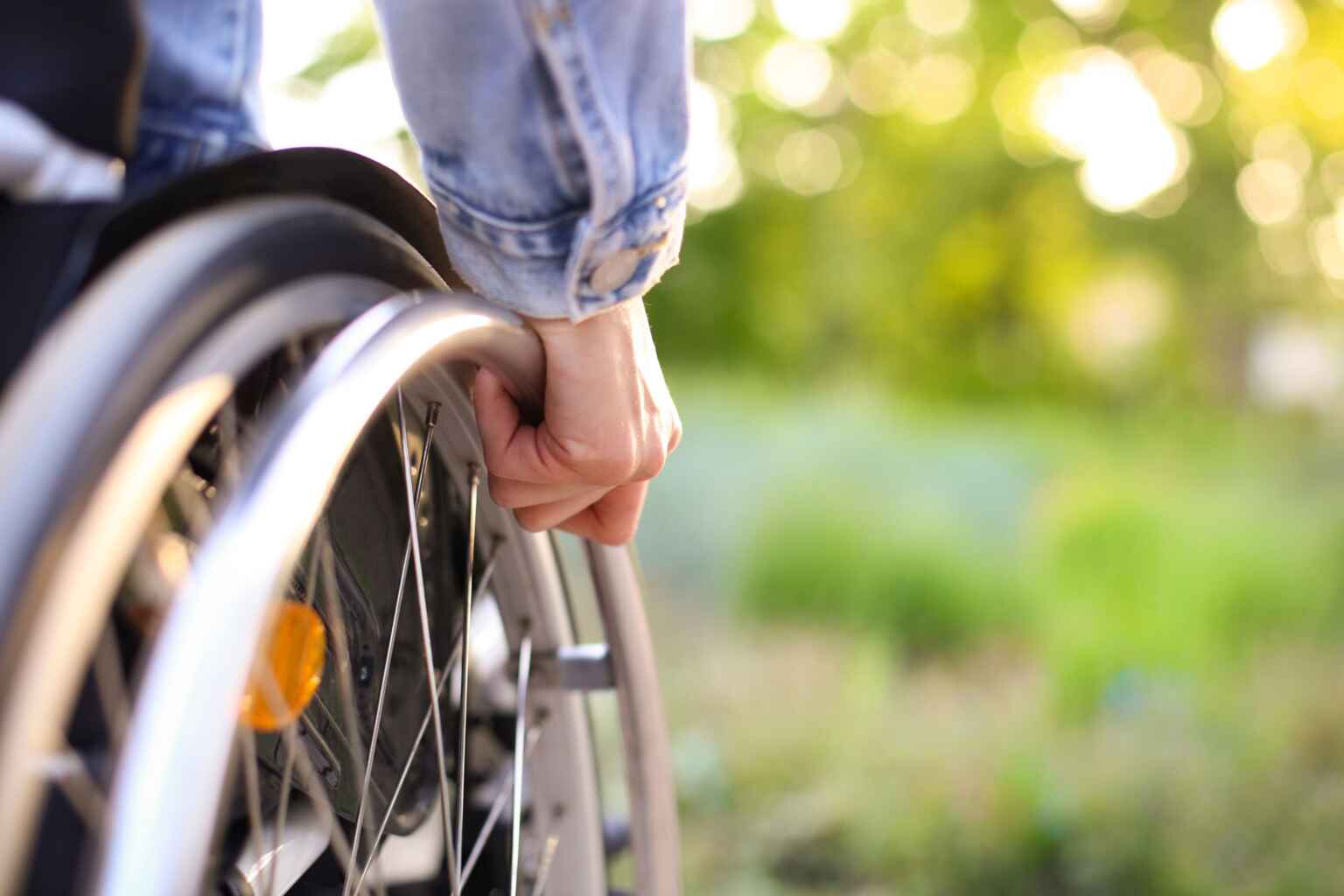 Top 10 Disability-Friendly Activities | Adelaide | Accessible Guide